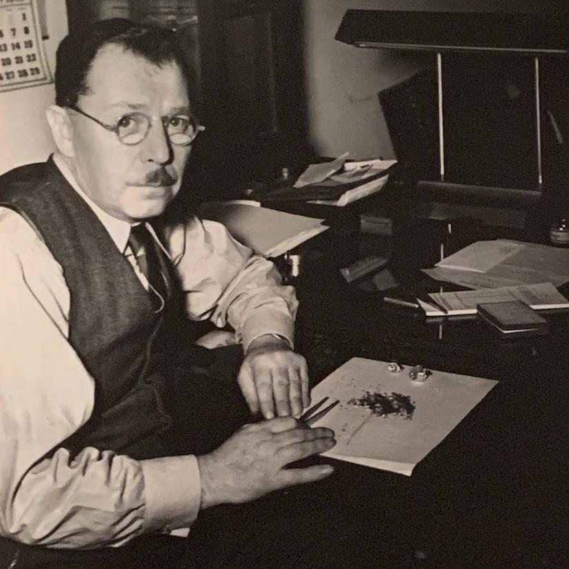 Frank Ronay | Medalla Conmemorativa de la Virgen de Guadalupe